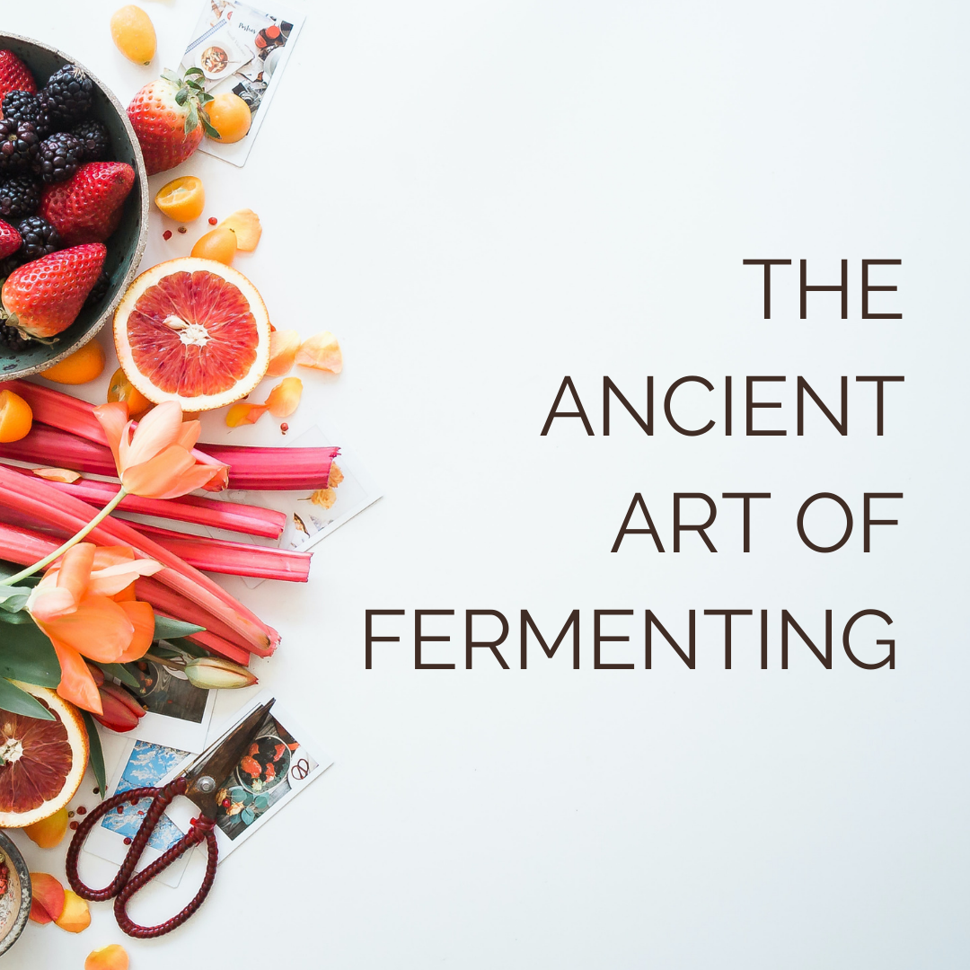 Discover more about the ancient art of fermentation – Symbiota