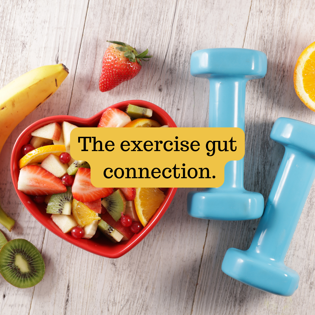 The connection between gut health and exercise – Symbiota
