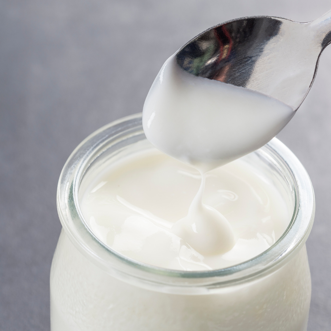 Viili Yogurt Culture | Symbiota